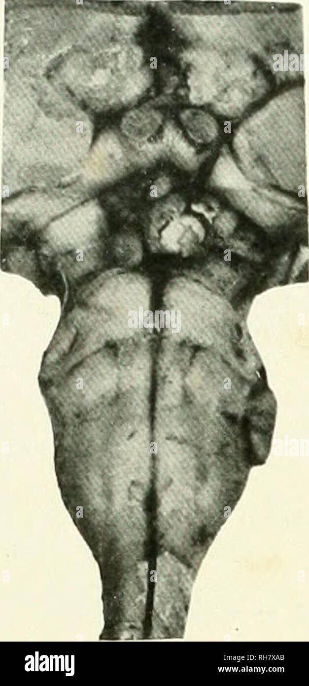 Human insignificance hi-res stock photography and images - Alamy