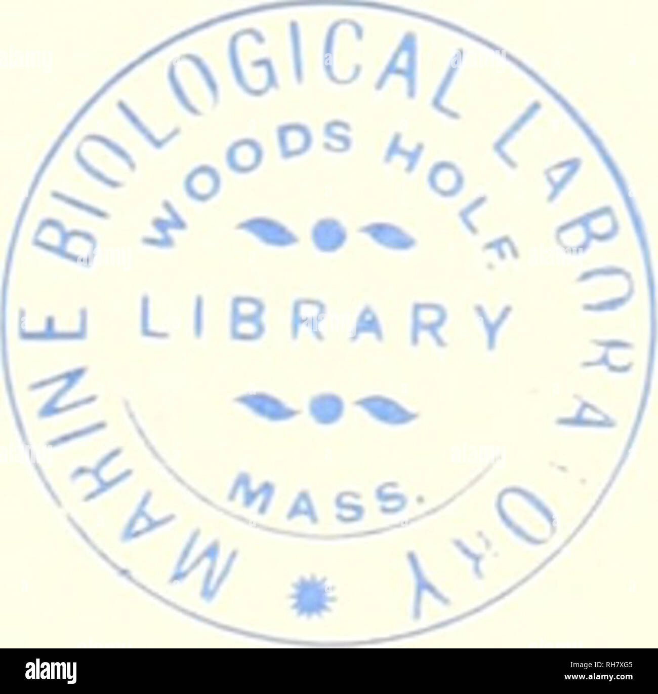 . The brain from ape to man; a contribution to the study of the ...