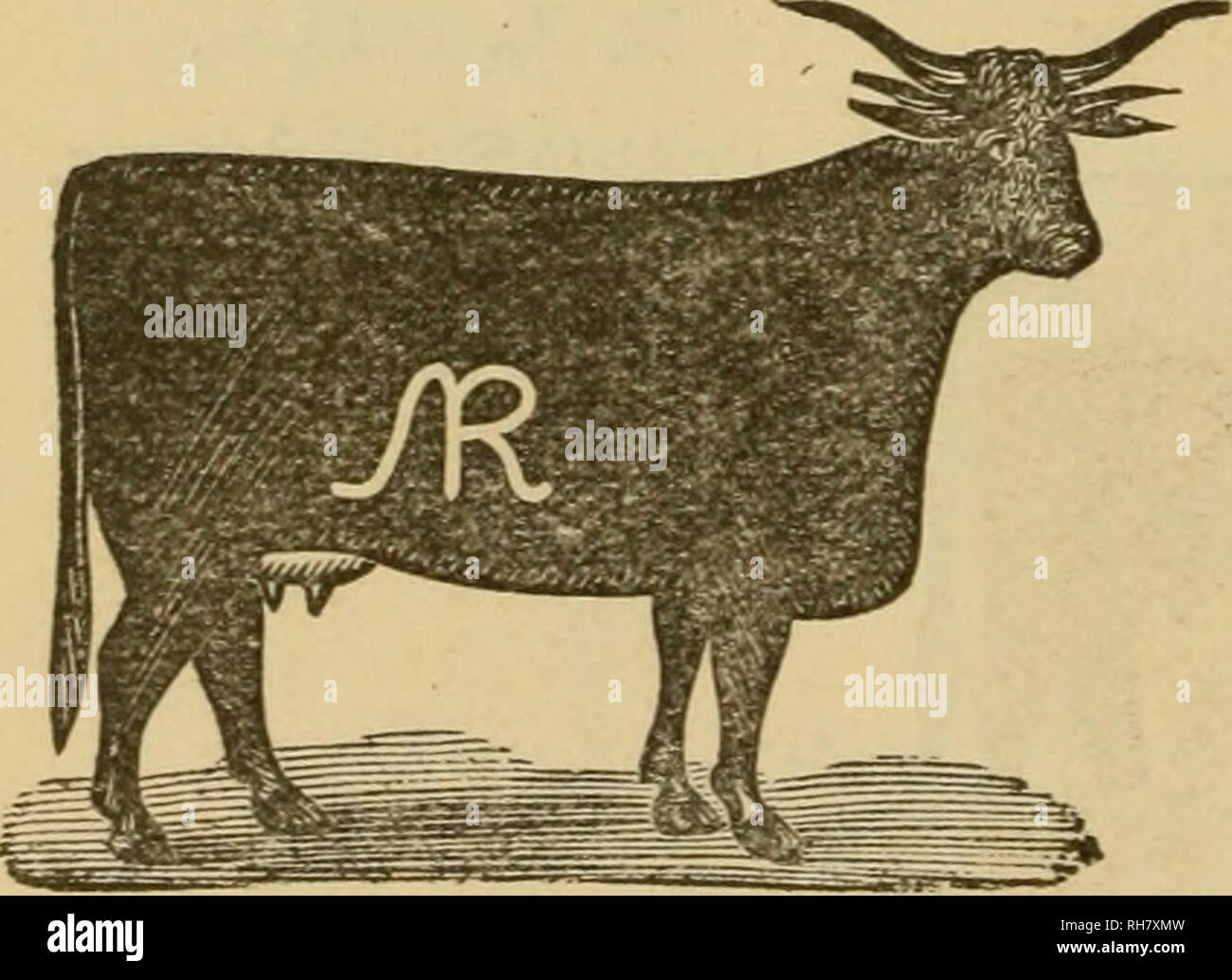 Ft reno hi-res stock photography and images - Alamy