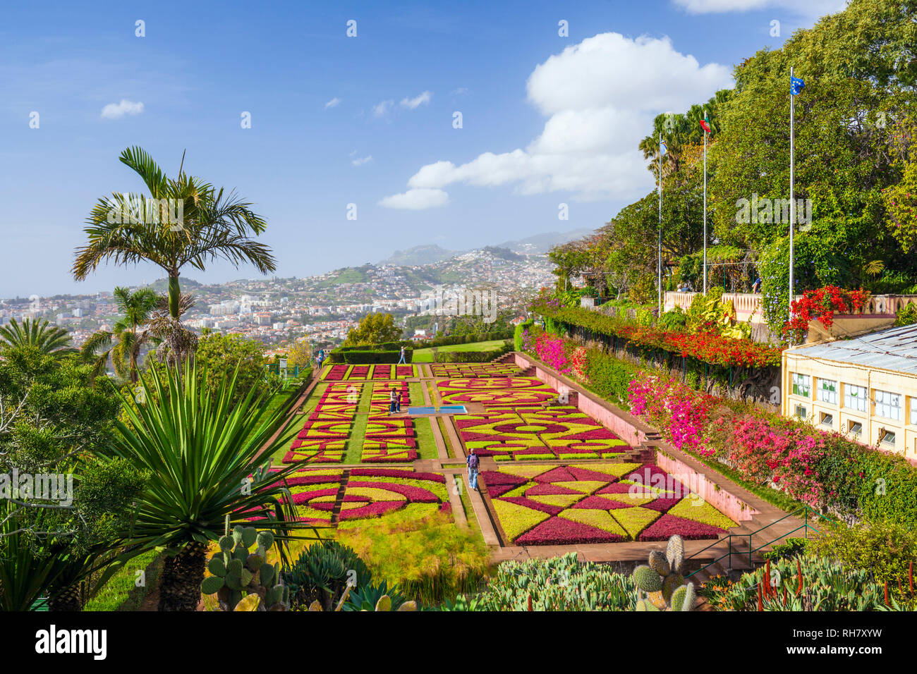 MADEIRA PORTUGAL MADEIRA Botanical gardens FUNCHAL BOTANICAL GARDENS ...