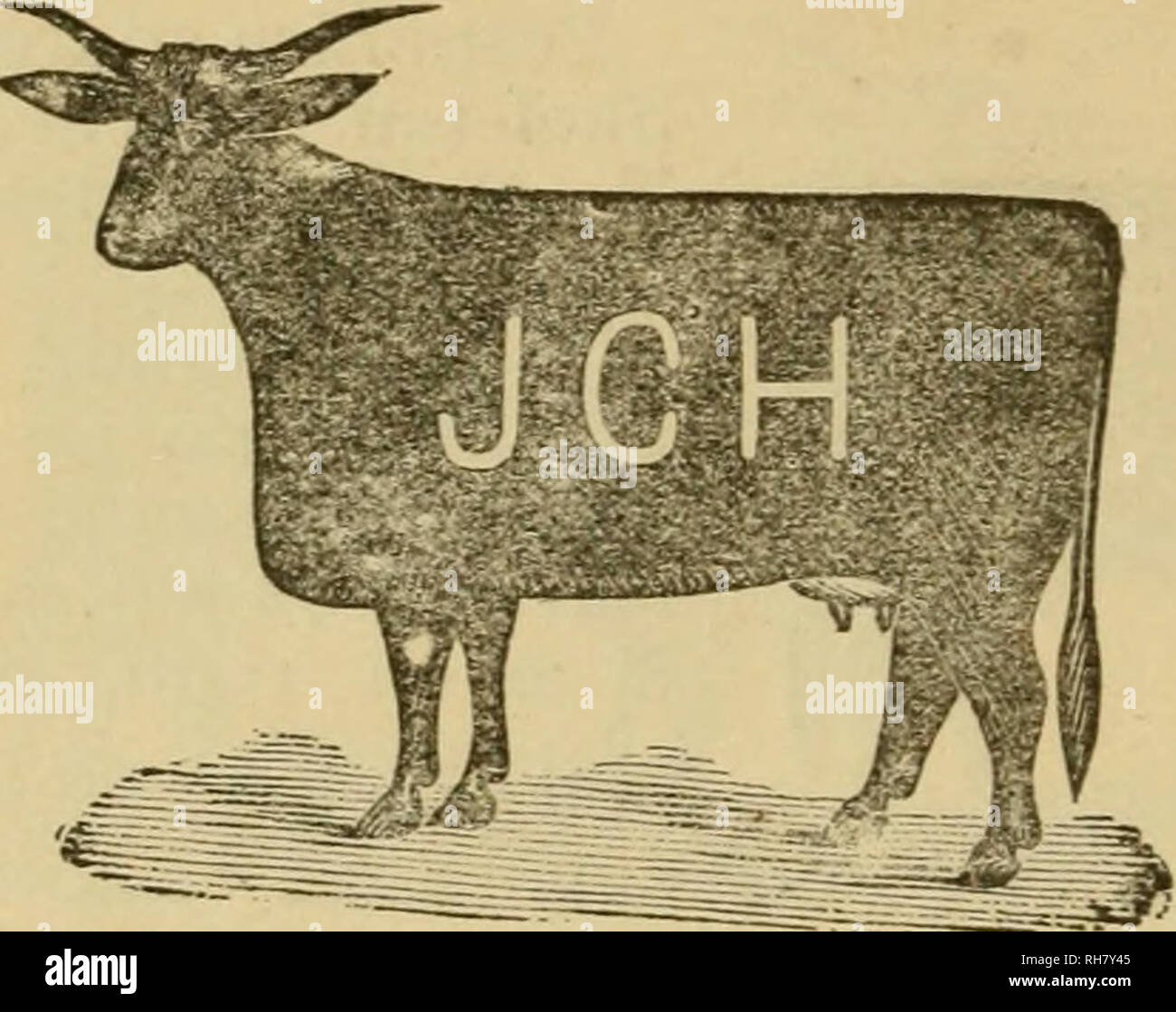 Leiss hi-res stock photography and images - Alamy