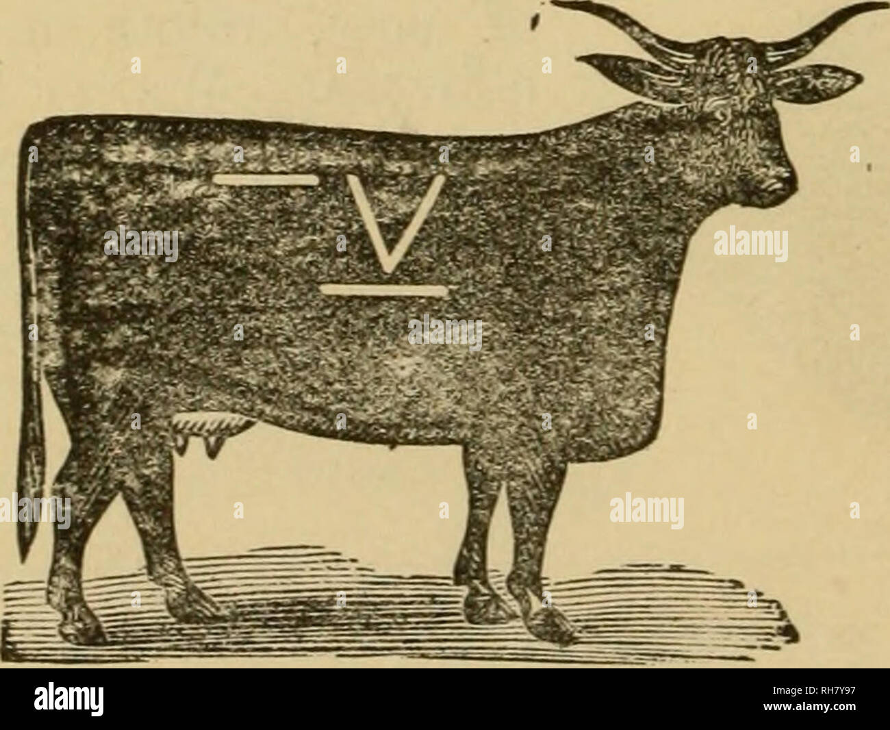 . Brand book. Cattle brands; Cattle brands. Post-office address ...