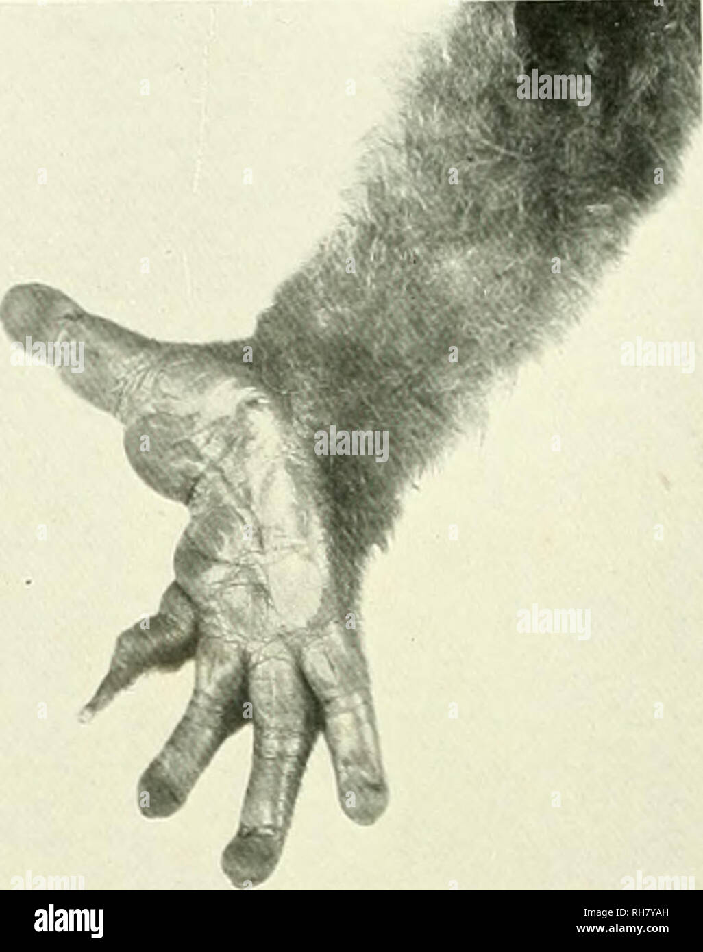 Human made markings hi-res stock photography and images - Alamy