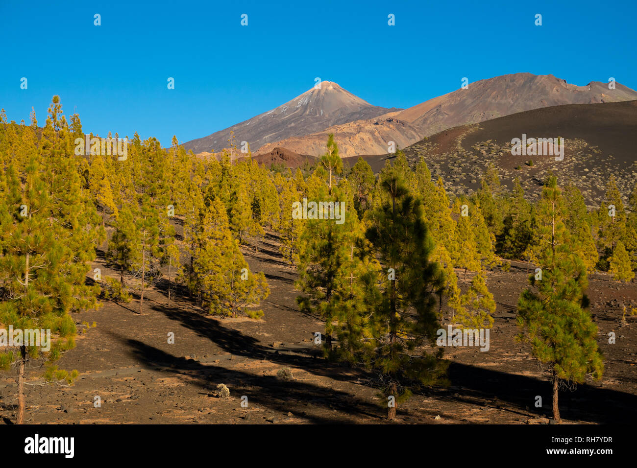 Teide peak pico viejo hi-res stock photography and images - Alamy
