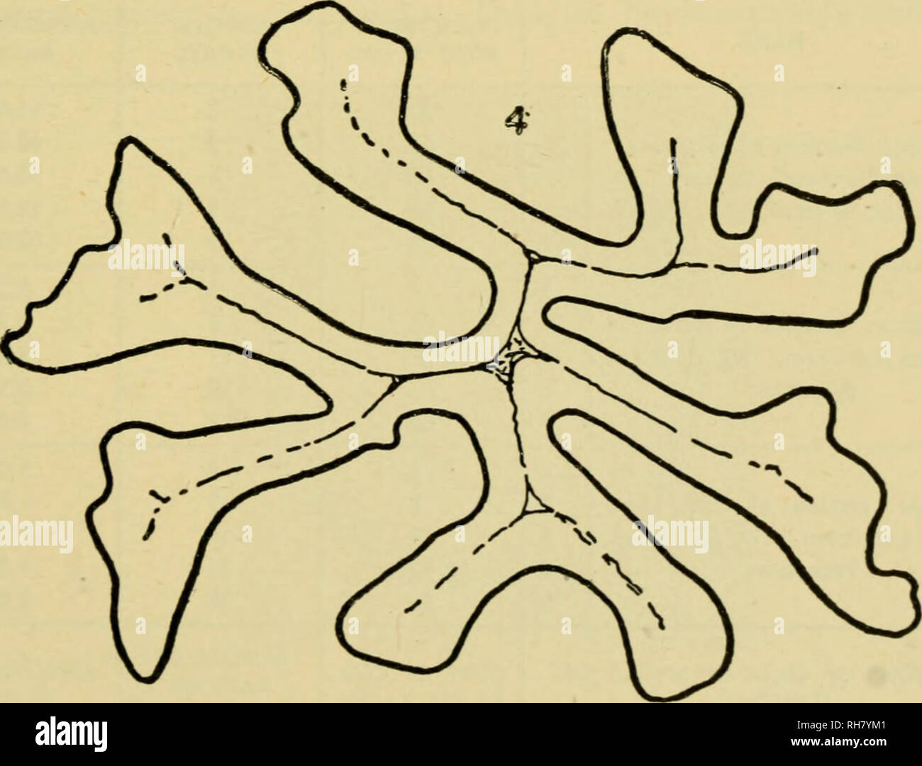 Projecting flanges hi-res stock photography and images - Alamy