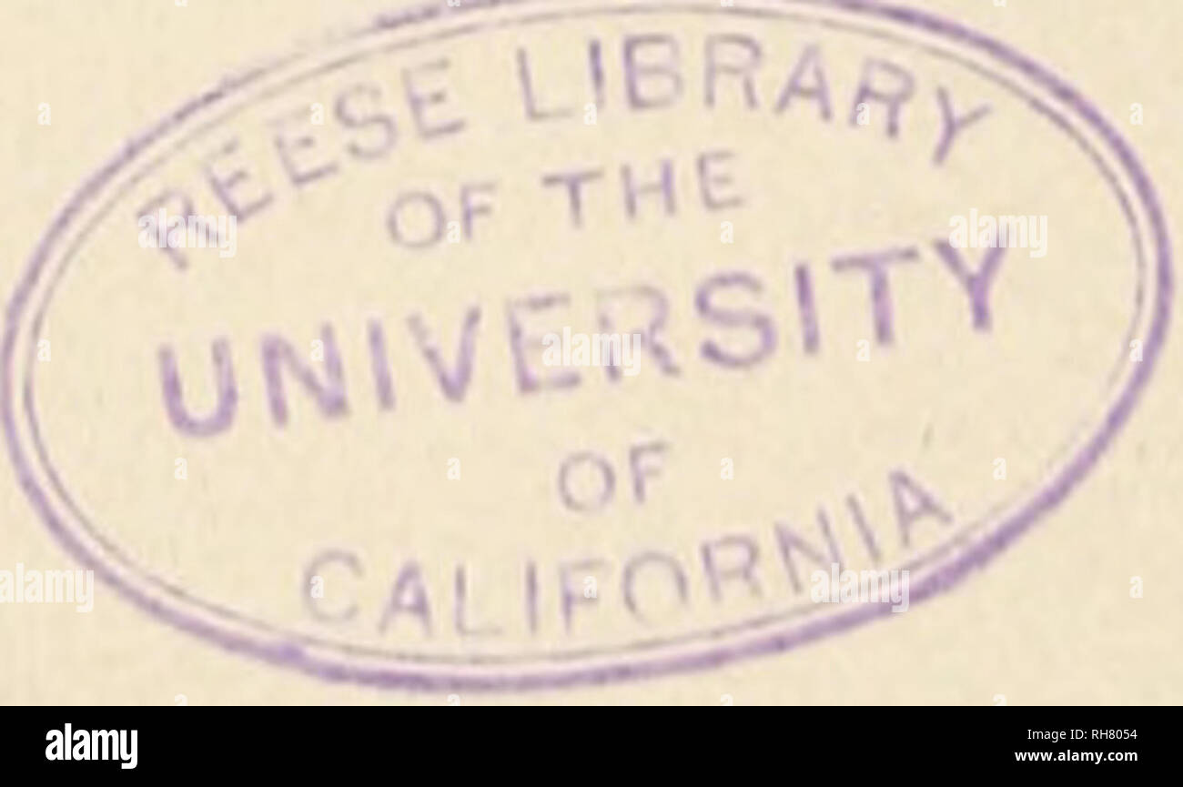 Principal jenkins hi-res stock photography and images - Alamy