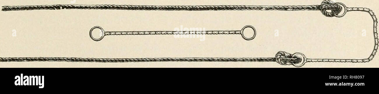 . Bovine obstetrics. Veterinary obstetrics. THE INSTRUMENTS FOR ...