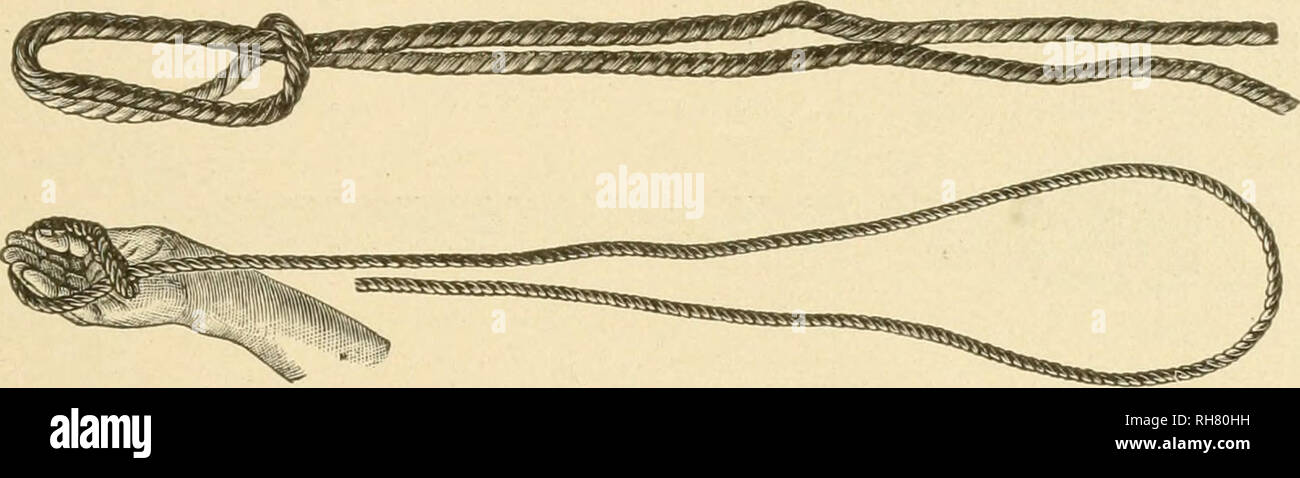 Hand with contusions hi-res stock photography and images - Alamy