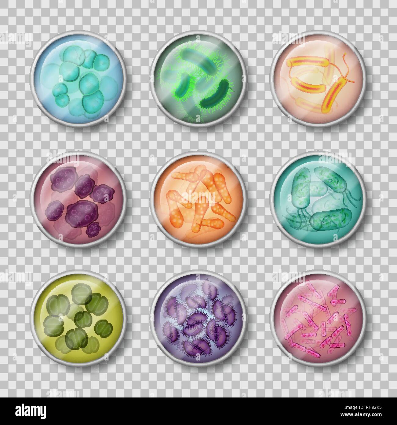Set bacteria laboratory Stock Vector Images - Alamy
