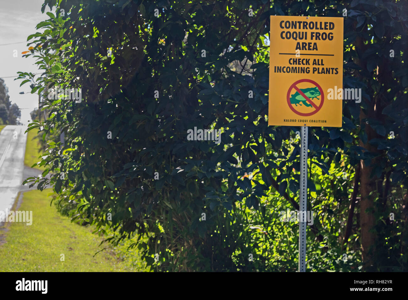 Invasive species sign hi-res stock photography and images - Alamy