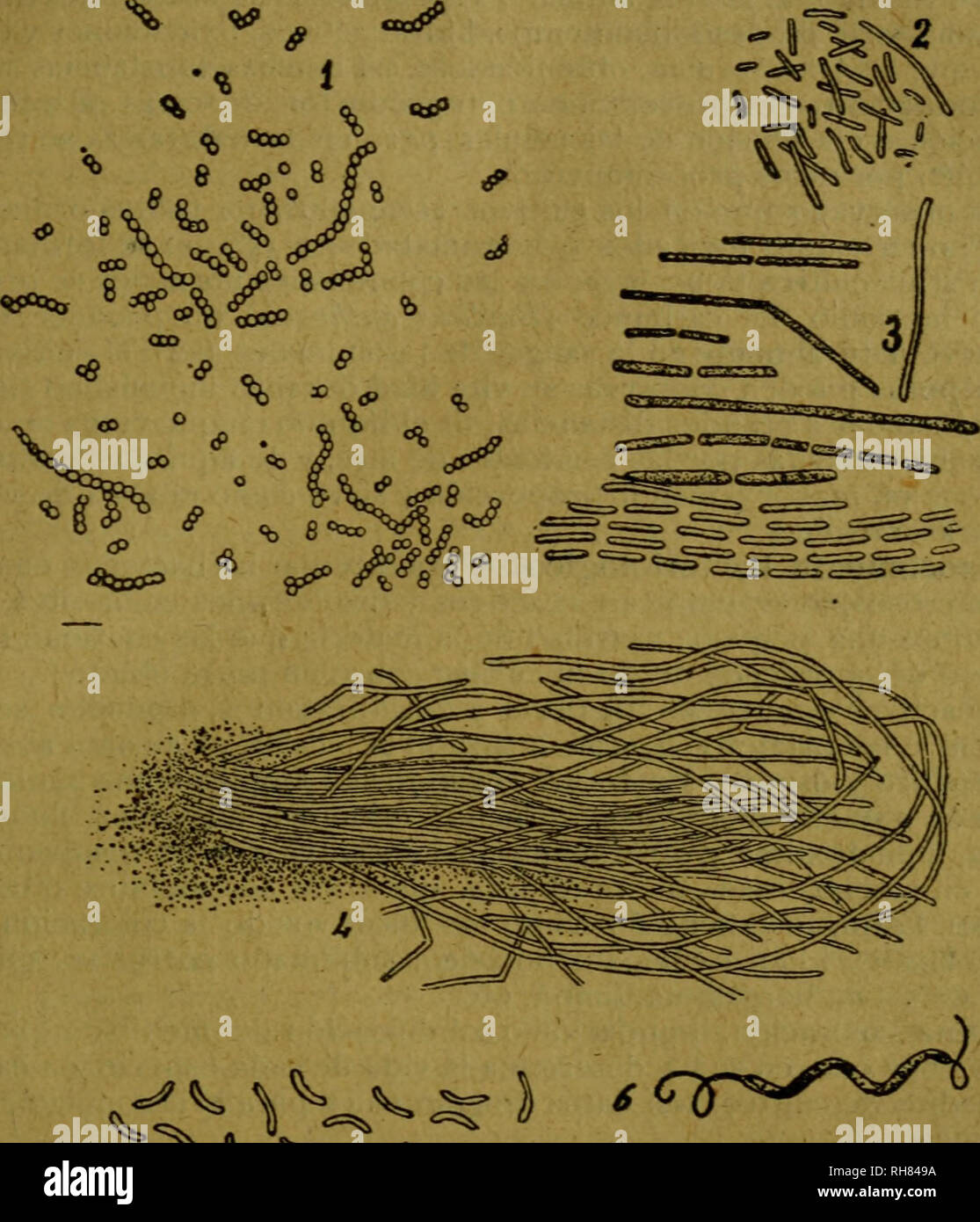 Diferentes aplicaciones hi-res stock photography and images - Alamy