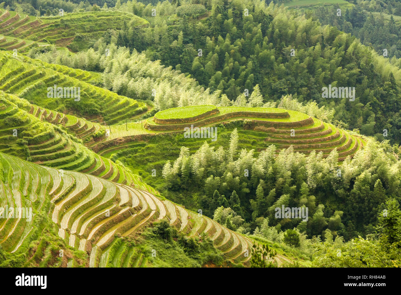 Longsheng rice terraces landscape in China Stock Photo - Alamy