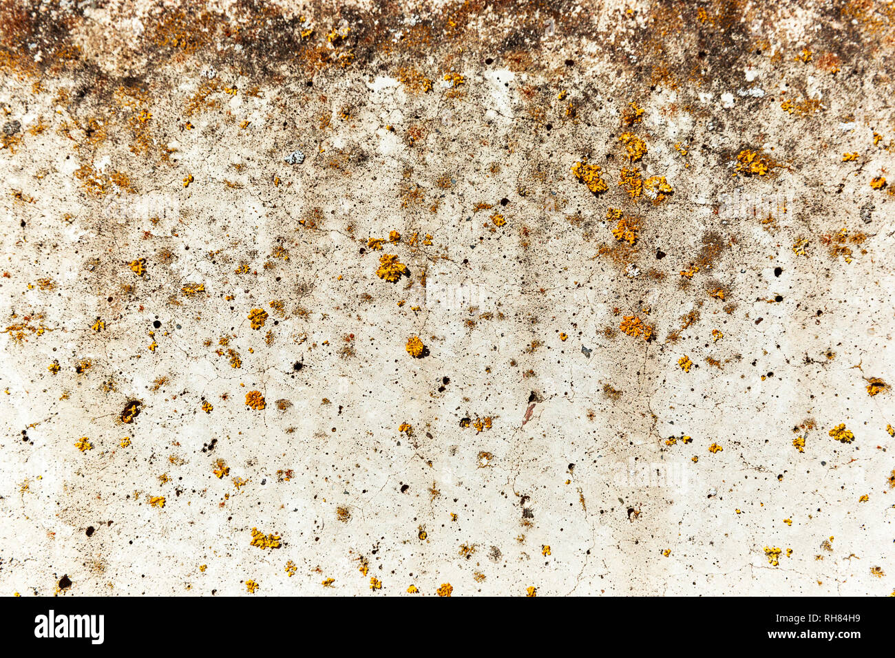 Orange grime & rust build up on concrete surface Stock Photo - Alamy