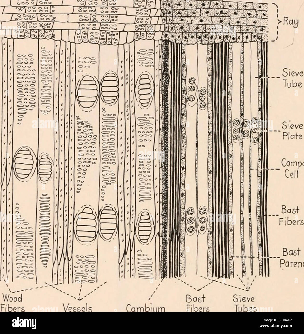 Radial threads hi-res stock photography and images - Alamy