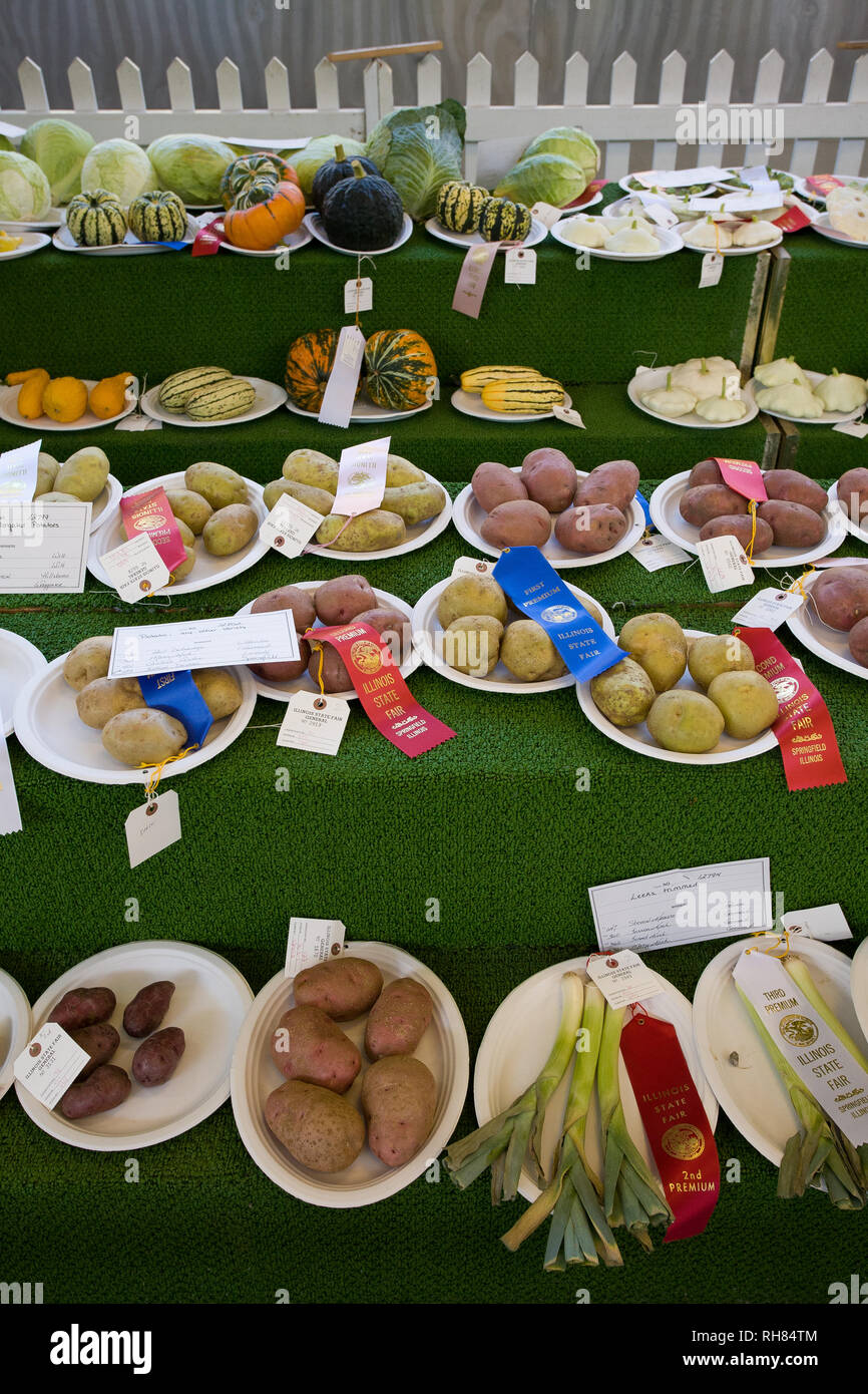 Springfield, Sangamon County, Illinois, USA Stock Photo - Alamy