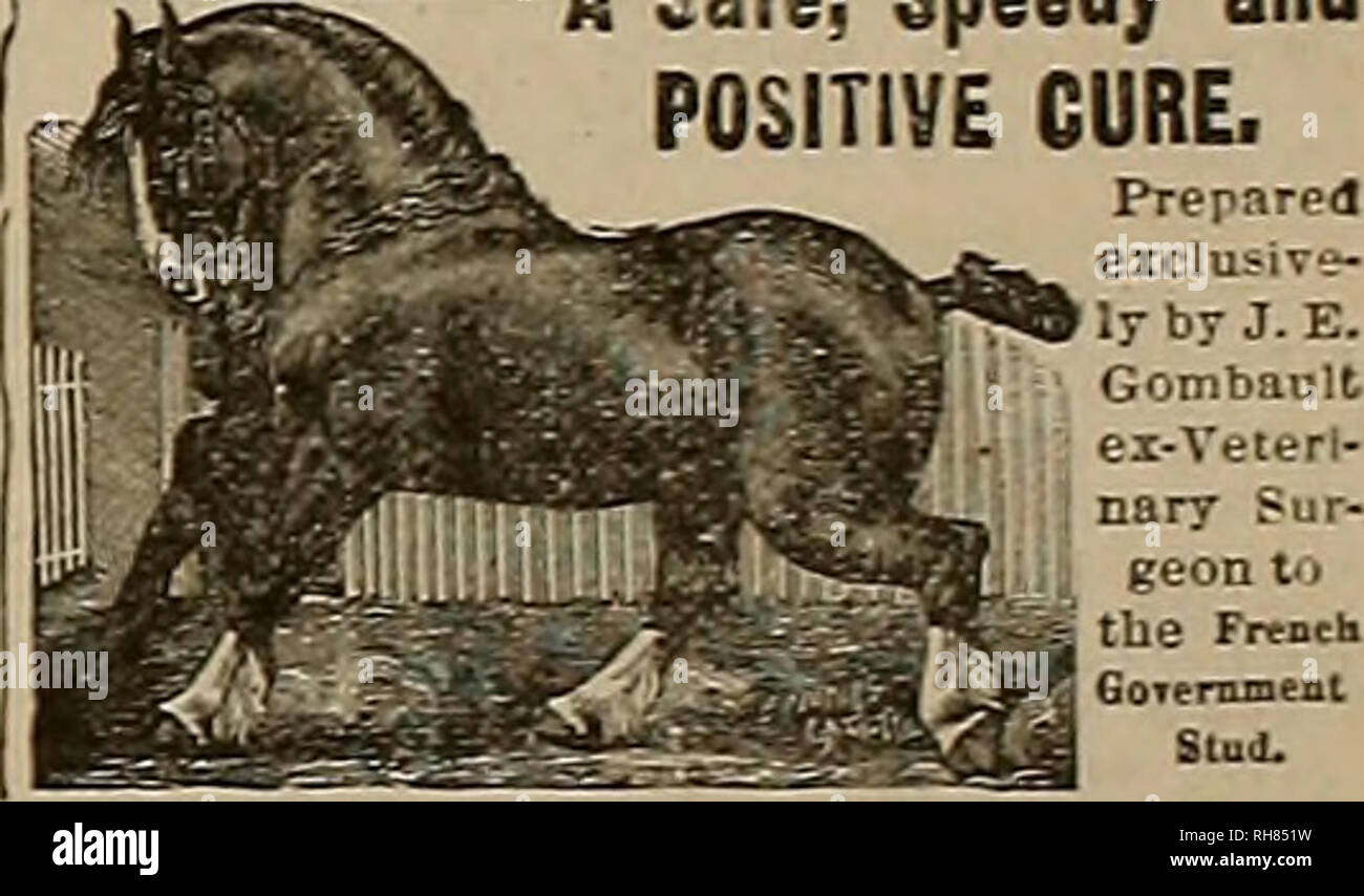 Jeart hi-res stock photography and images - Alamy