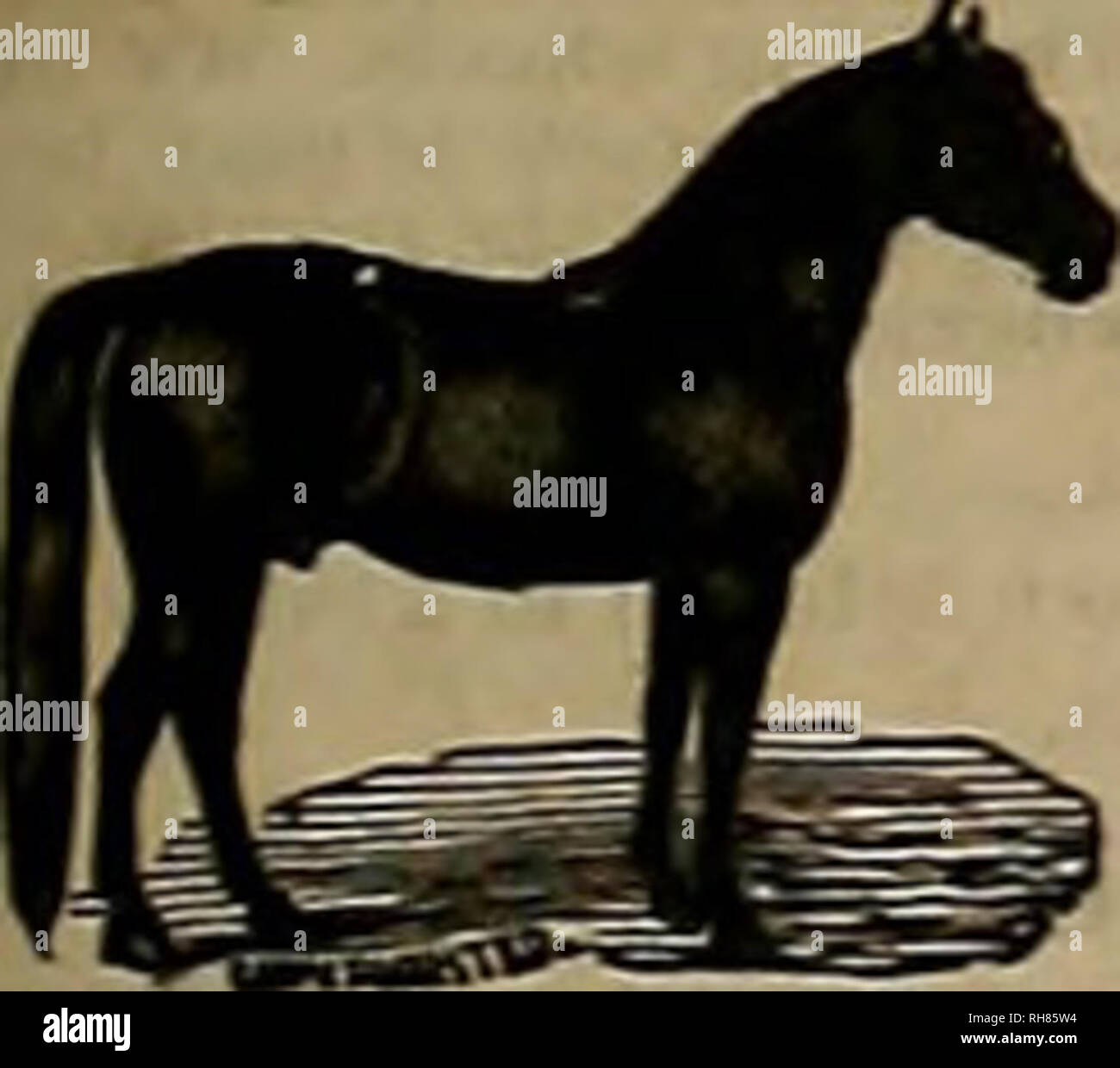 Sil effect hi-res stock photography and images - Alamy