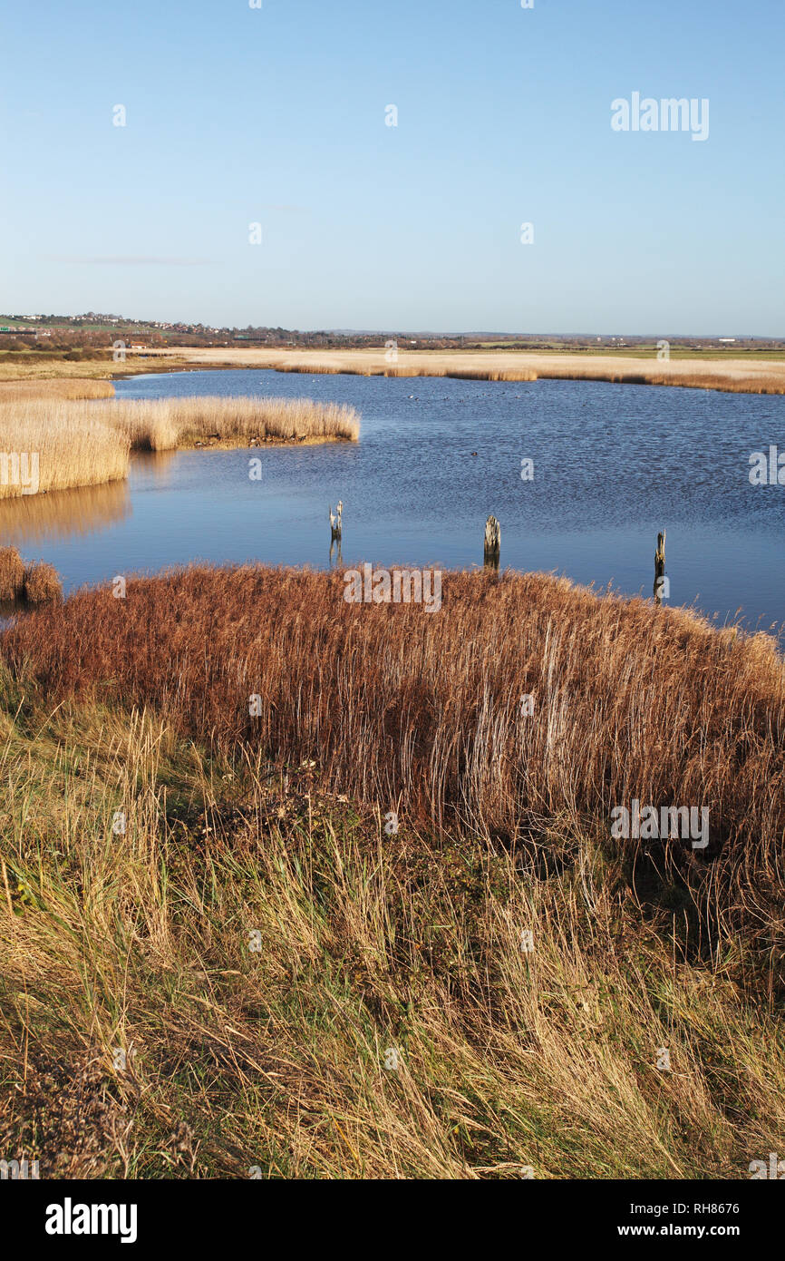 Farlington Marshes Hampshire Wildlife Trust reserve Hampshire England ...
