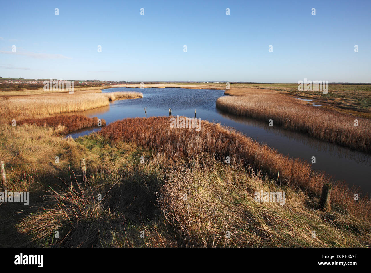 Farlington Marshes Hampshire Wildlife Trust reserve Hampshire England ...