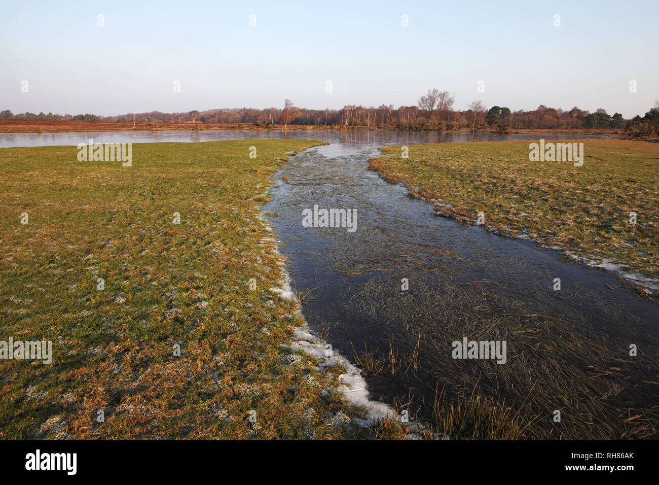 Burley new forest national park hi-res stock photography and images - Alamy