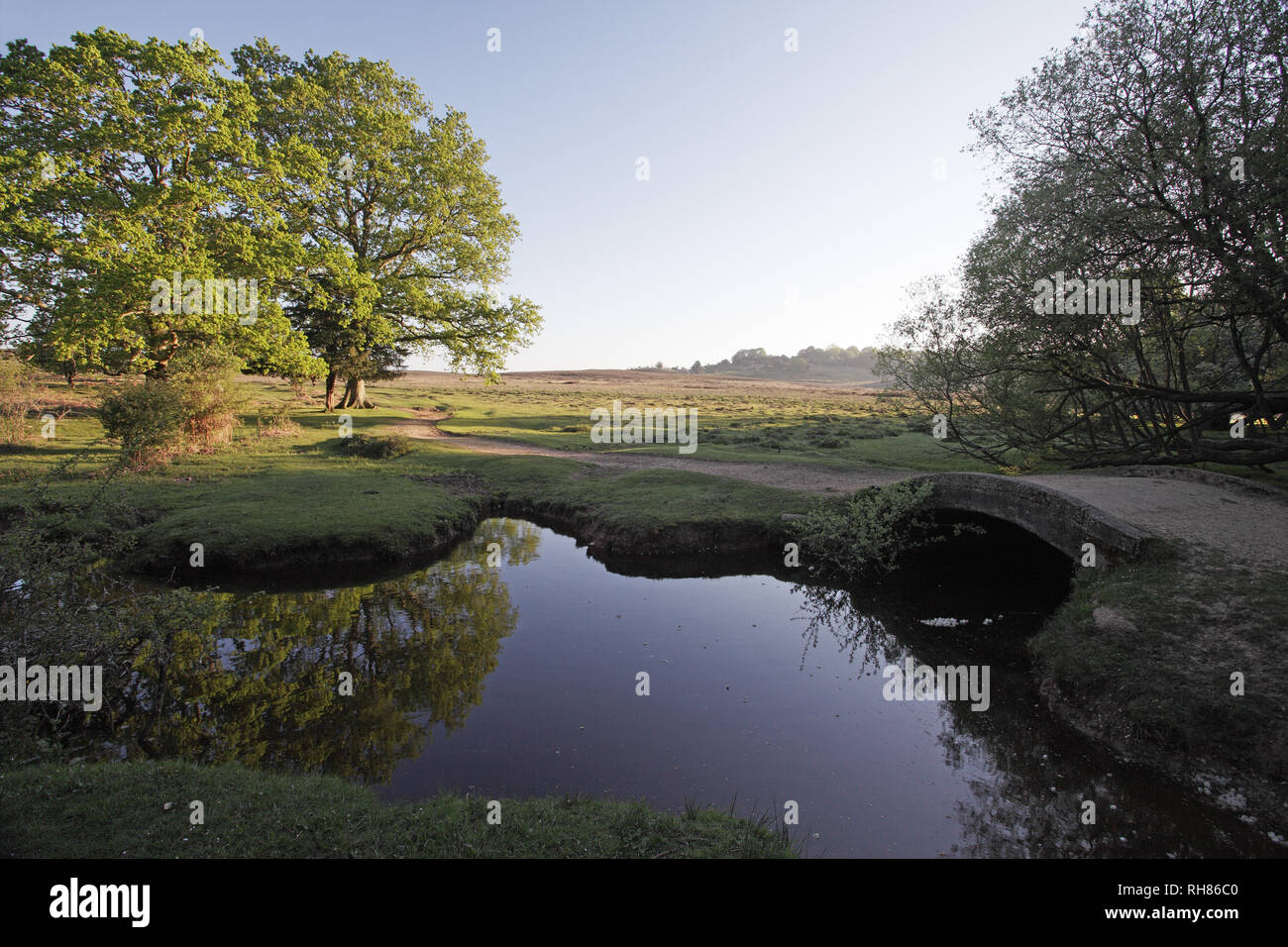Splash Bridge High Resolution Stock Photography and Images - Alamy