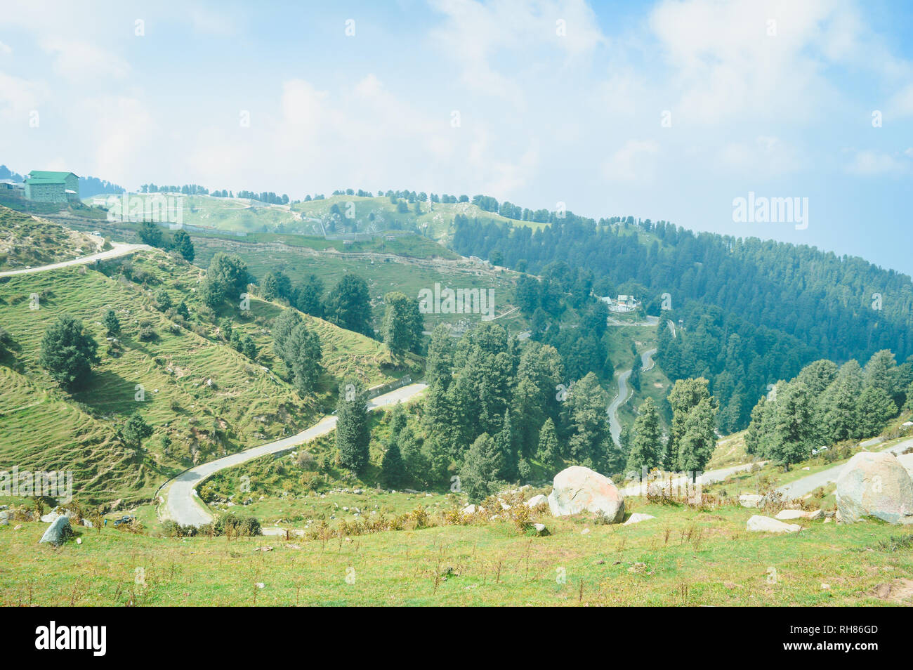 Landscape Panoramic view of green terraced field and beautiful yellow ...
