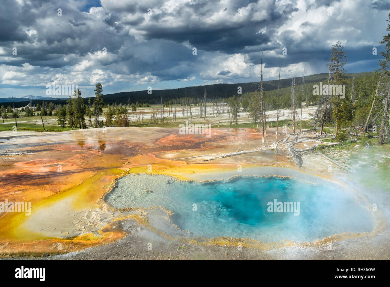 colorful hot spring in Yellowstone National Park Stock Photo - Alamy