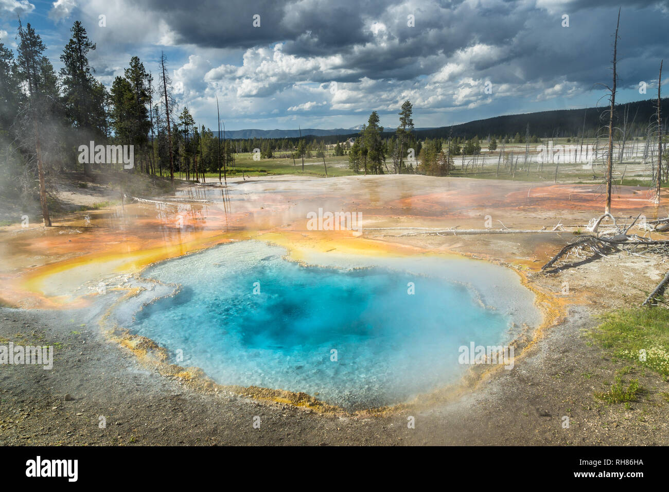 colorful hot spring in Yellowstone National Park Stock Photo - Alamy