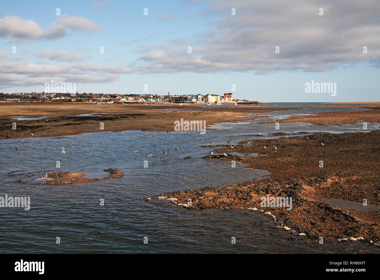 Exe estuary with Exmouth beyond Devon England UK Stock Photo - Alamy