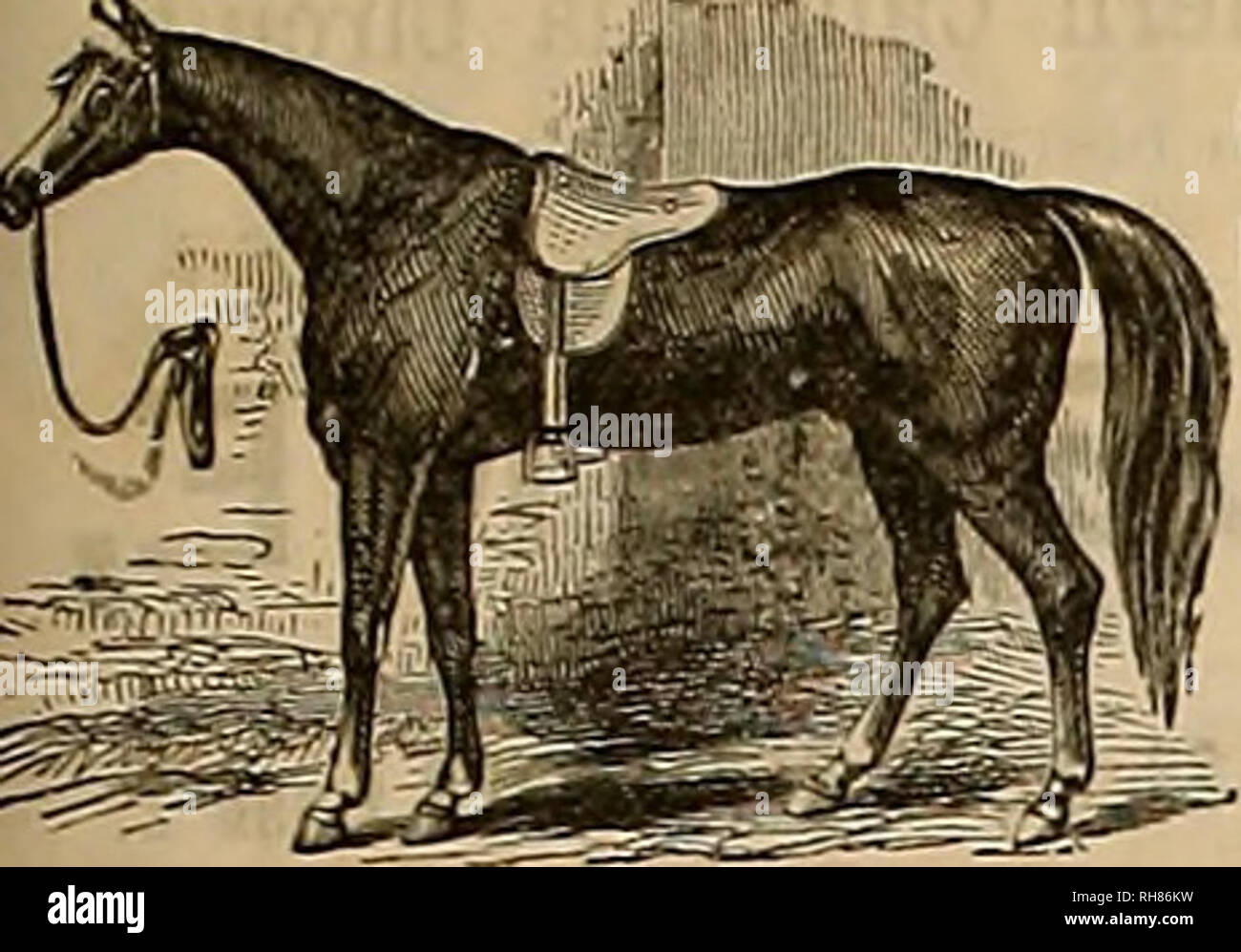 George hearst ranch hi-res stock photography and images - Alamy