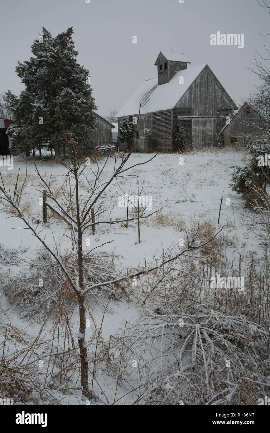 , Logan County, Illinois, USA Stock Photo - Alamy