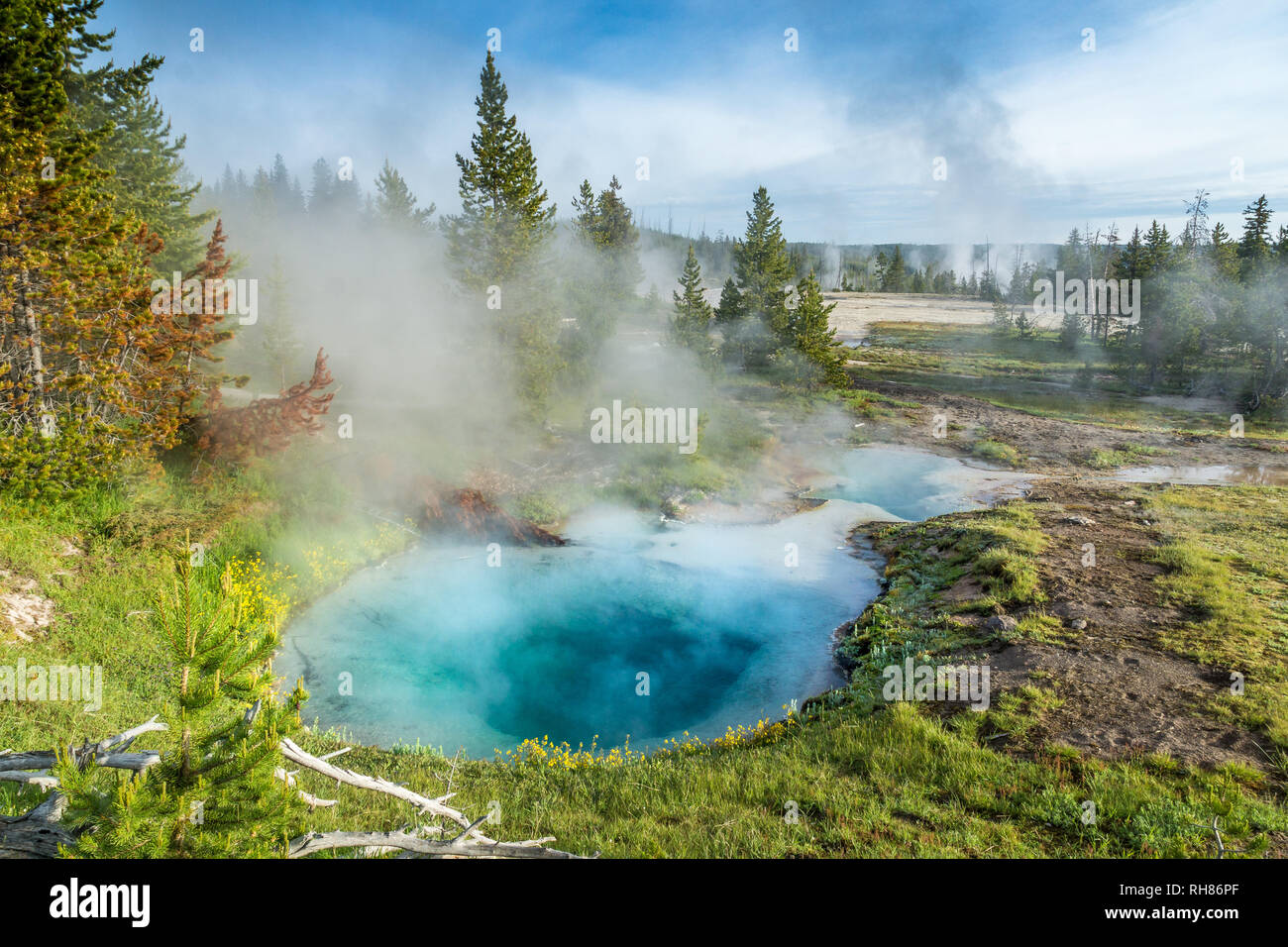 colorful hot spring in Yellowstone National Park Stock Photo - Alamy