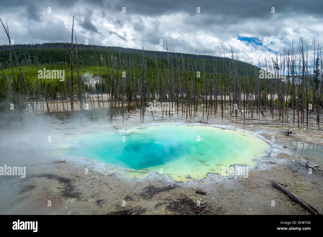 a colorful hotspring in Yellowstone National Park, Wyoming Stock Photo ...