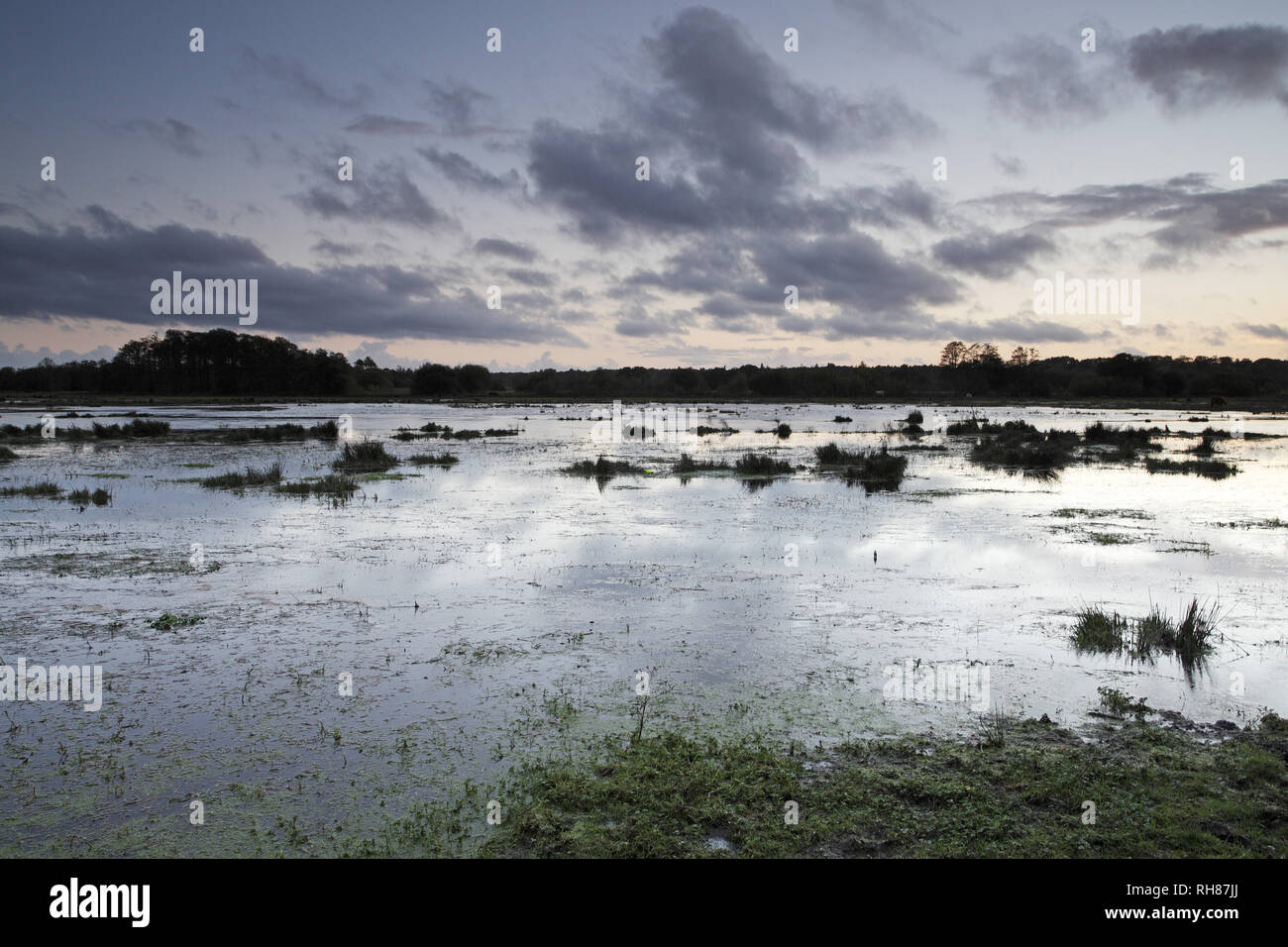River Avon in flood over water meadows at Raymond Brown Pocket Park ...