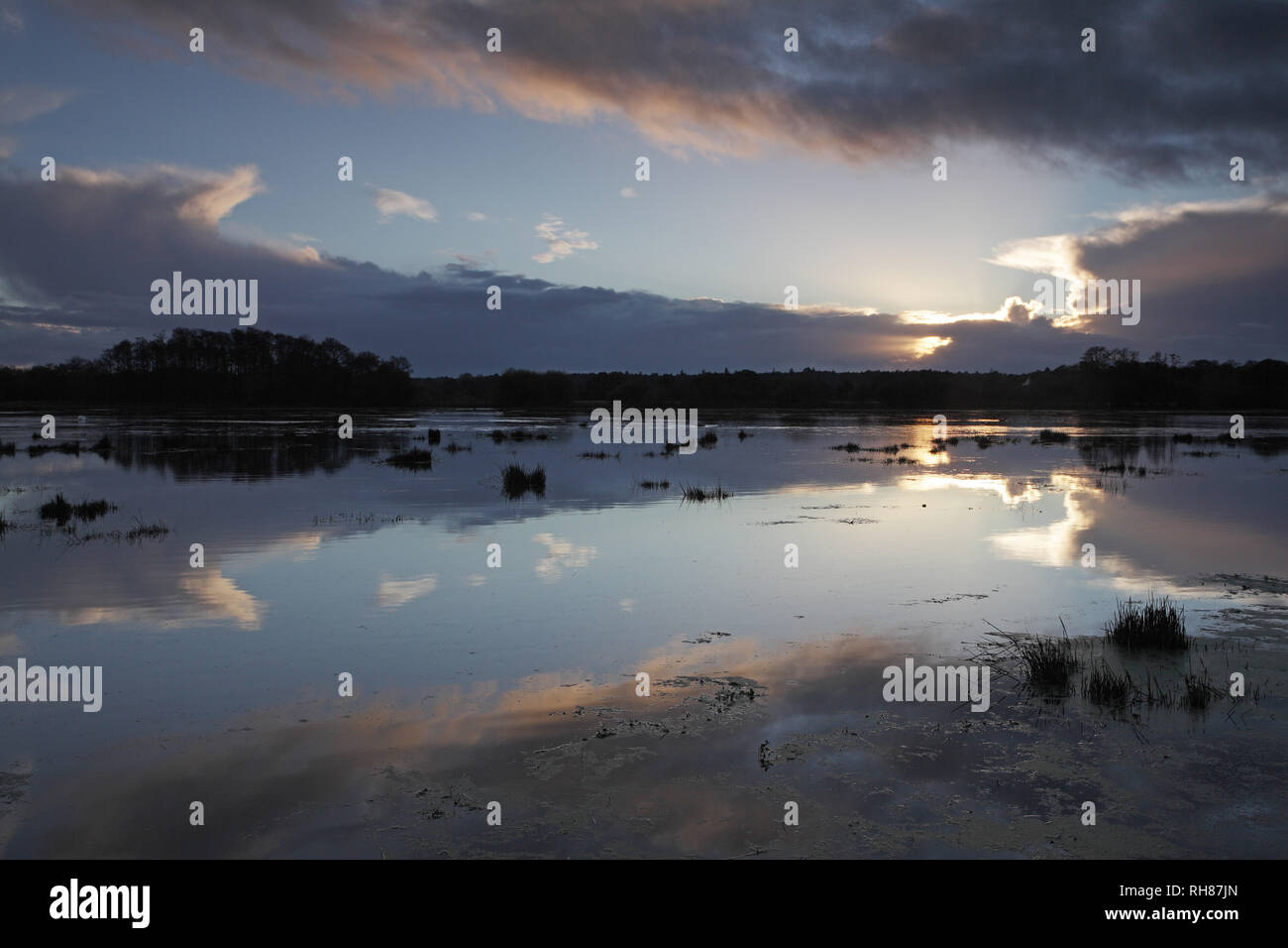 River Avon in flood Raymond Brown Pocket Park Nature Reserve at sunset ...