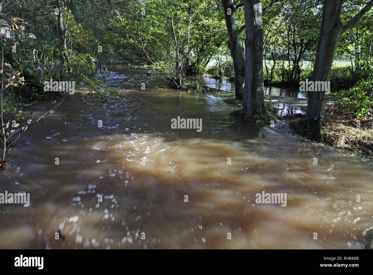 Lin brook hi-res stock photography and images - Alamy