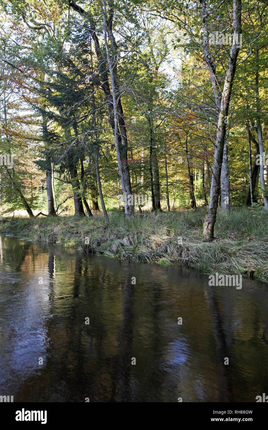 Blackwater stream new forest hi-res stock photography and images - Alamy