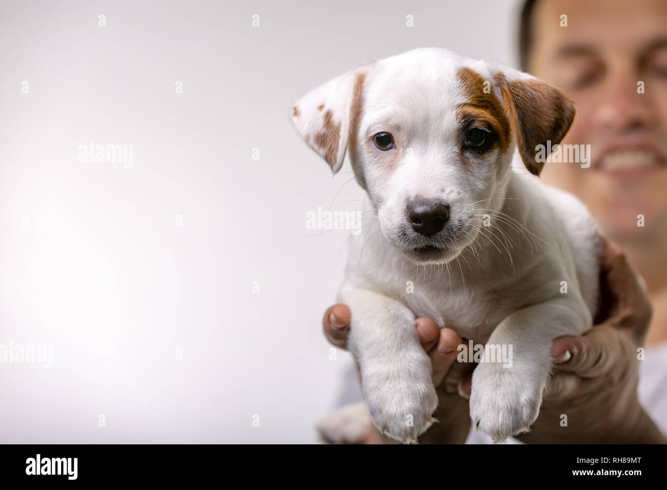 Horizontal portrait of handsome cheerful man holds jack russell ...