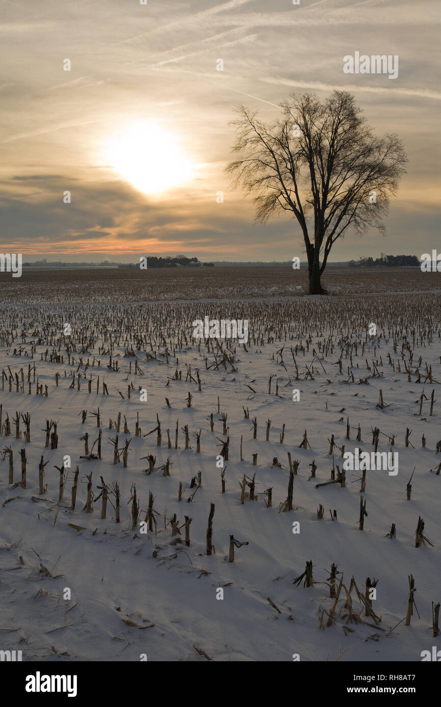 , Logan County, Illinois, USA Stock Photo - Alamy