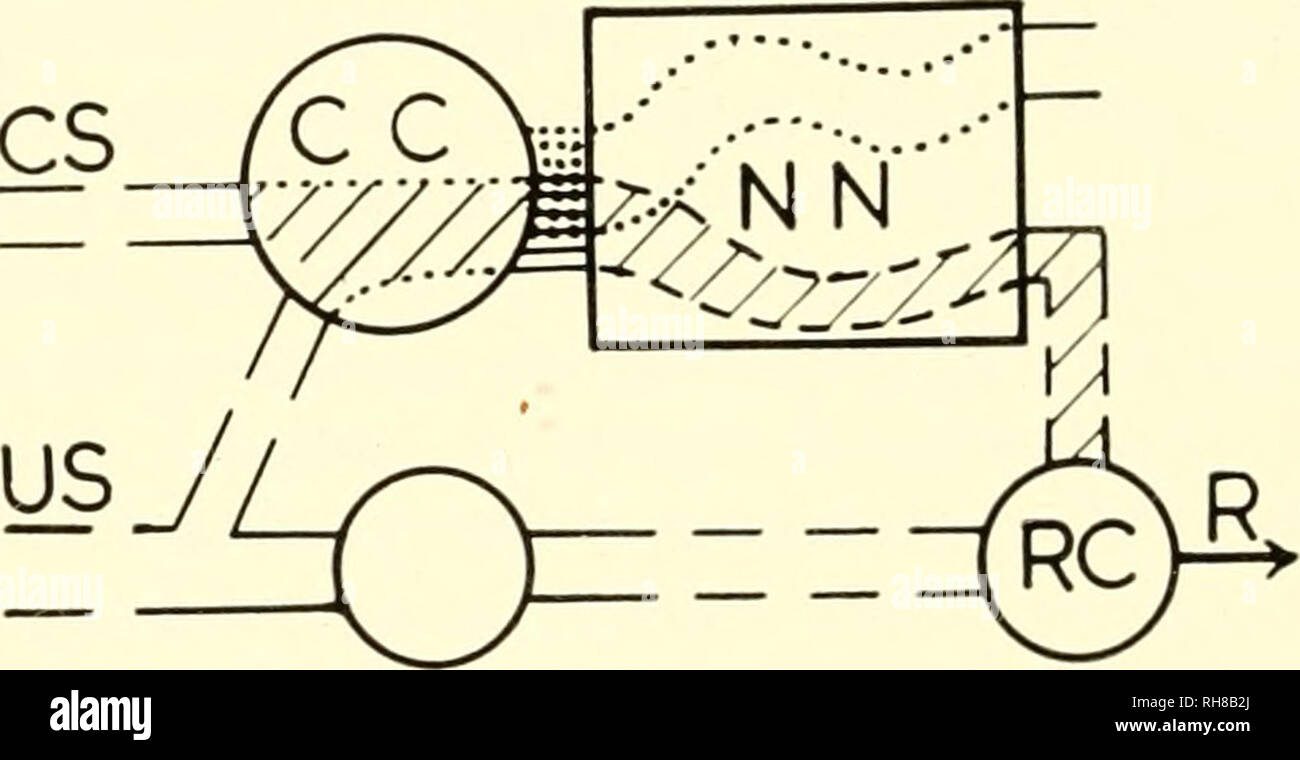 . Brain mechanisms and learning, a symposium. Psychophysiology ...