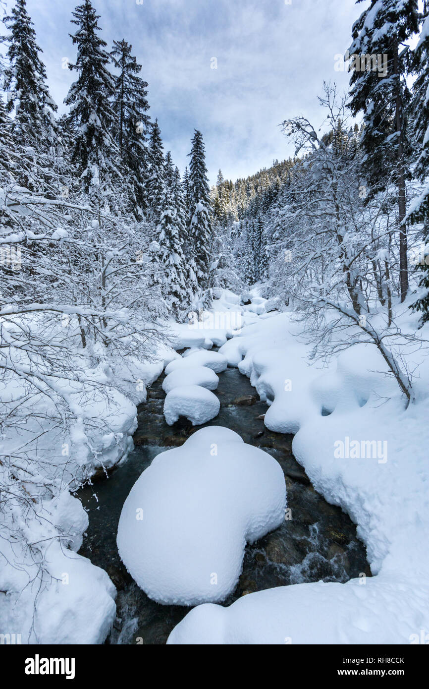 Alpine trees hi-res stock photography and images - Alamy