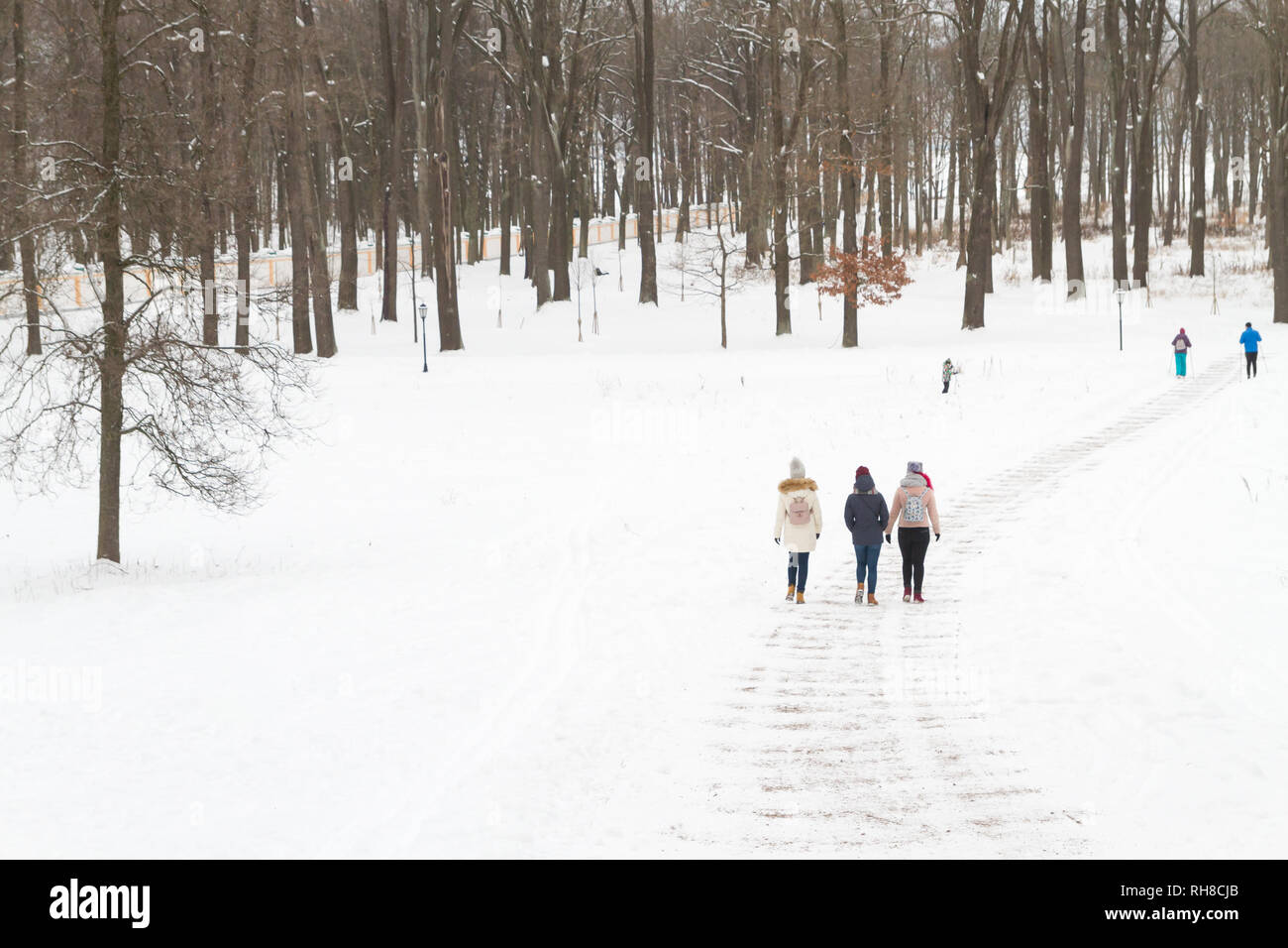 Walk in the Park in winter in frosty weather Stock Photo - Alamy