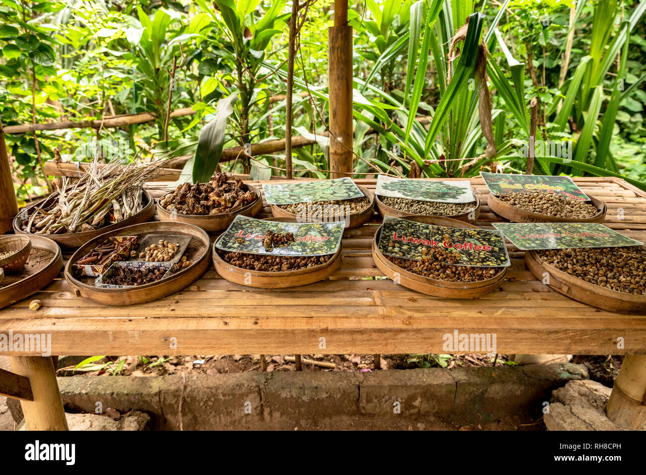 Different coffee beans on a table, in a coffee plantation in Bali ...