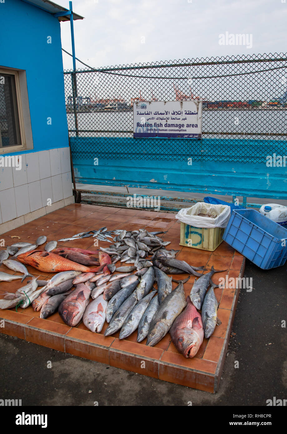 Rotten fish area in the fish market, Mecca province, Jeddah, Saudi ...