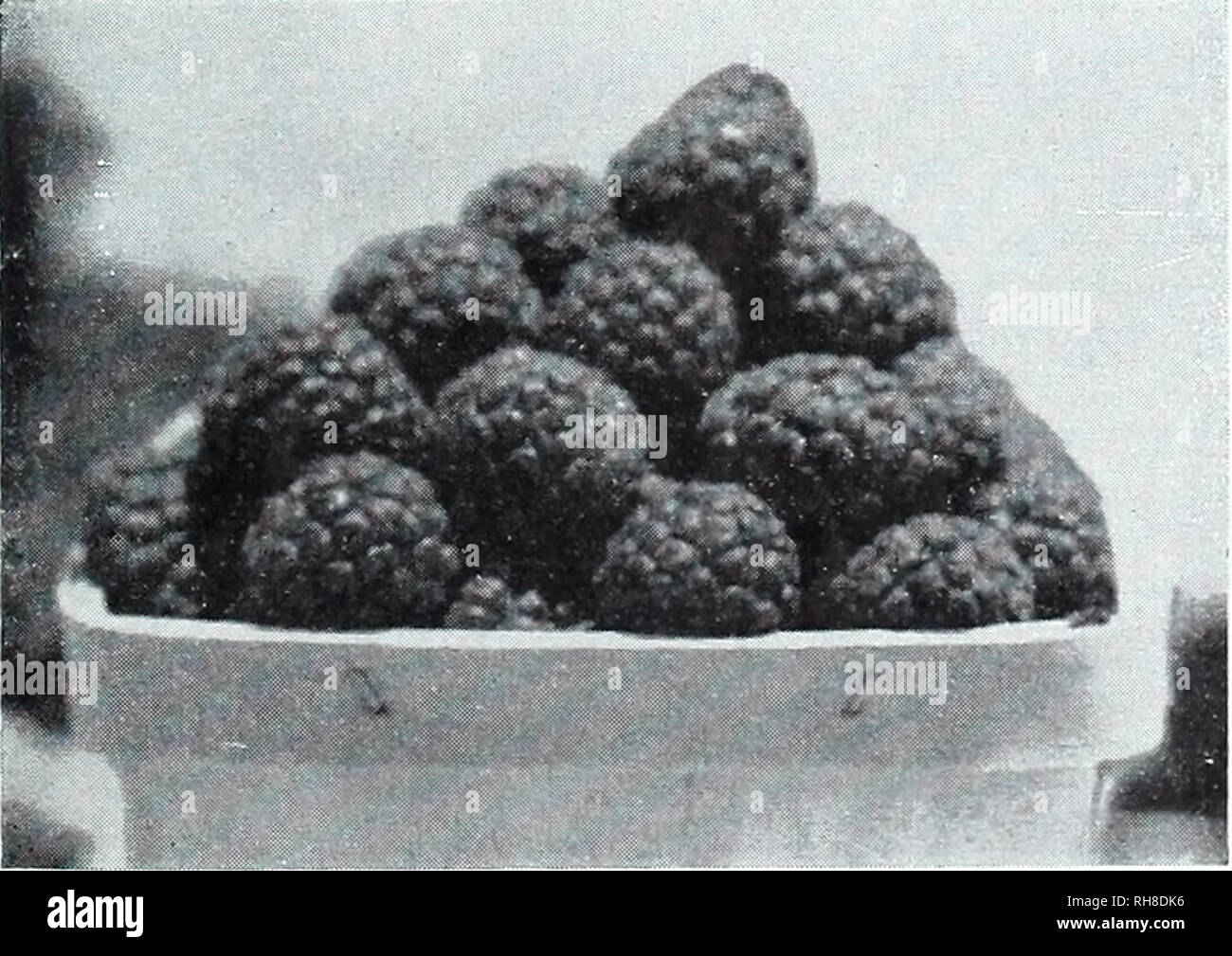 1961 fall catalog hi-res stock photography and images - Alamy