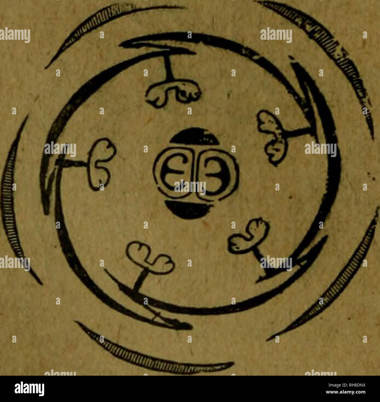 Ramas angulosas hi-res stock photography and images - Alamy