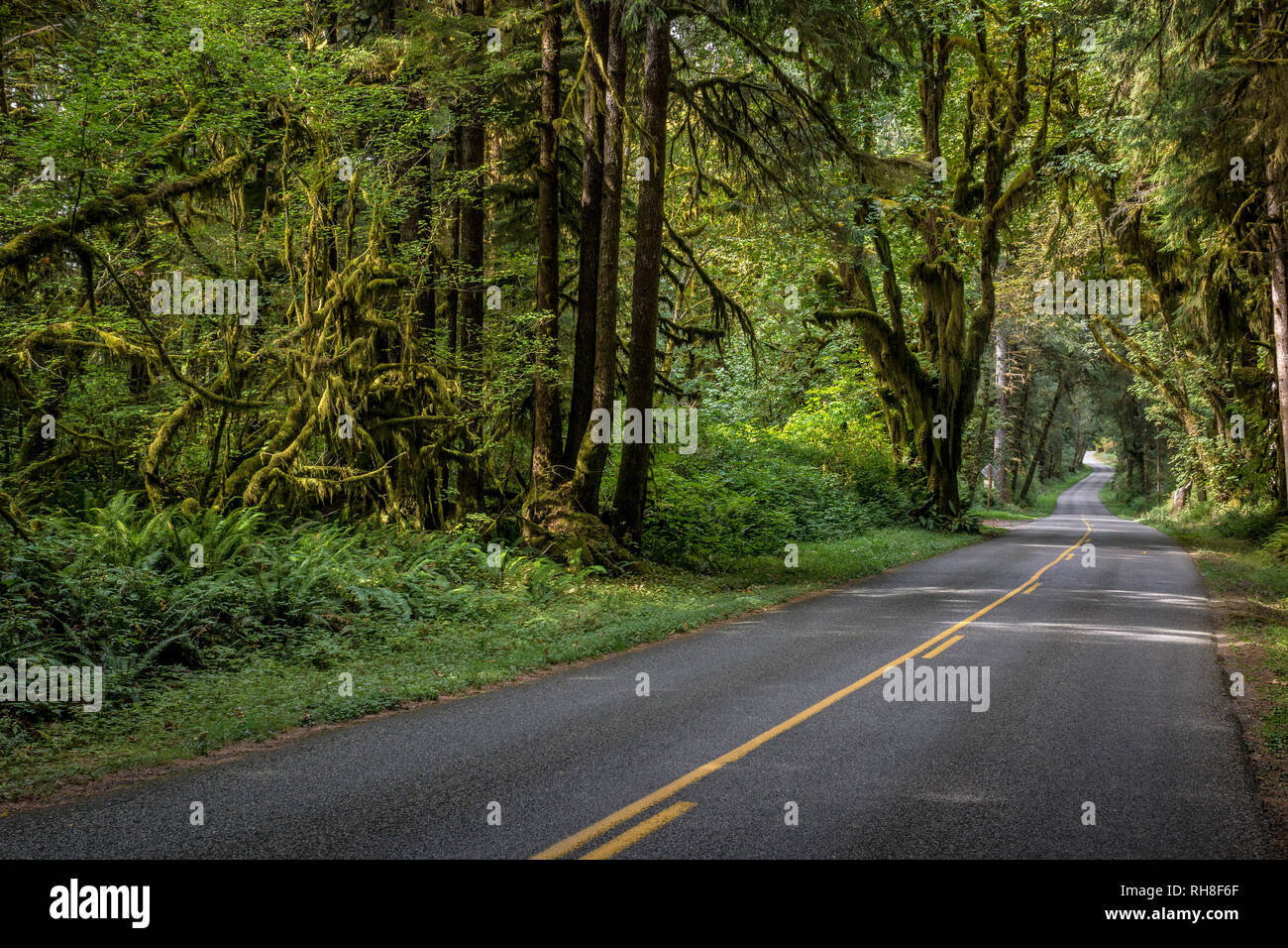 Olympic highway washington state usa hi-res stock photography and ...