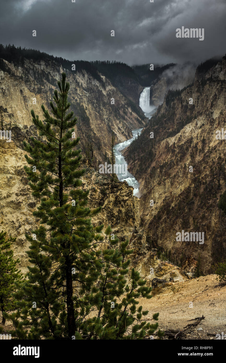 Grand Canyon of the Yellowstone captured on a rainy day in Yellowstone ...