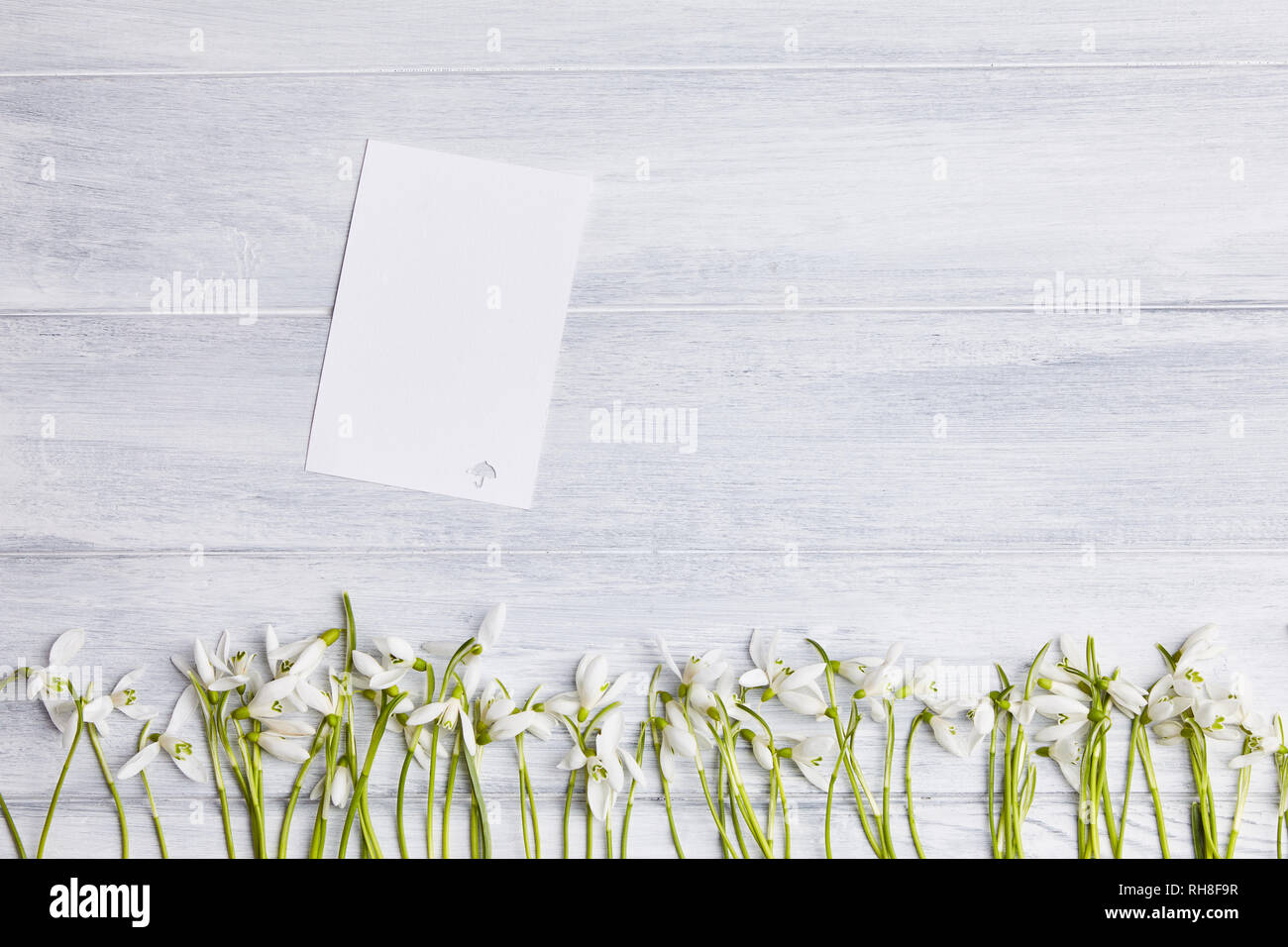 Wooden background with snowdrops frame and note paper. Greeting card ...