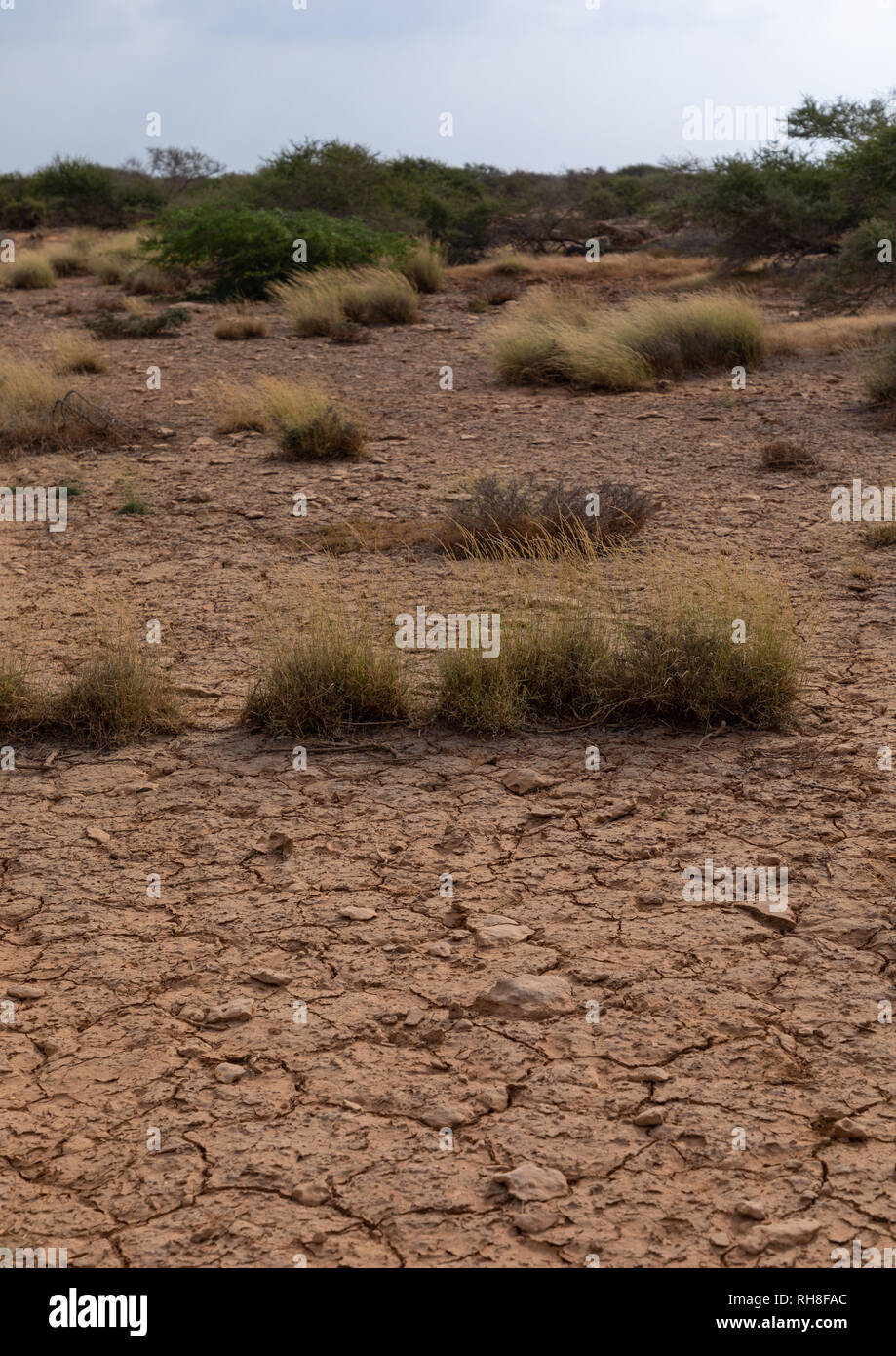 Saudi arabia pattern hi-res stock photography and images - Alamy